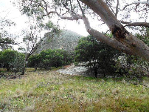 Terrick Terrick National Park | Pyramid Hill