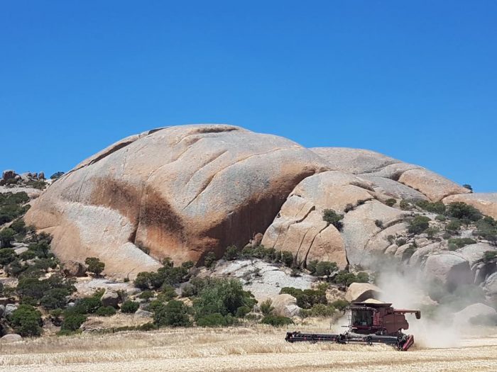 Mt. Hope, Pyramid Hill | Pyramid Hill